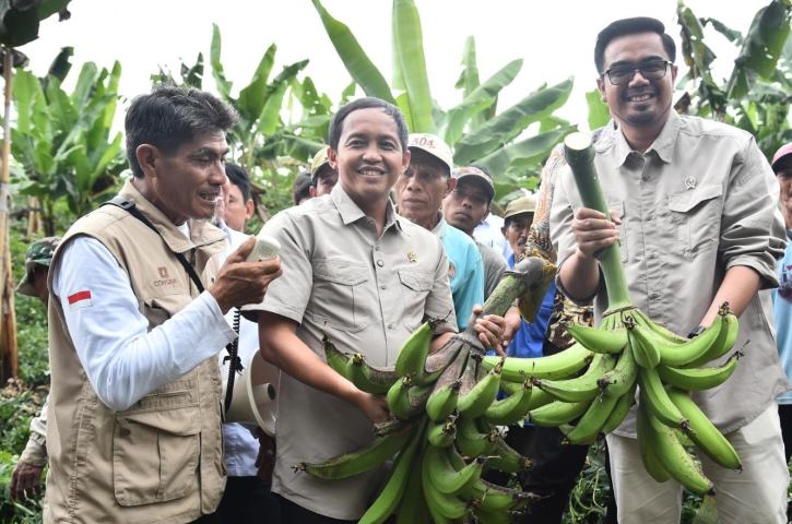 Menteri Kehutanan Pastikan Kontribusi Perhutanan Sosial pada Rantai ...